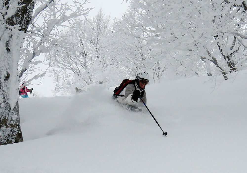 Minowa Snow Resort Japan