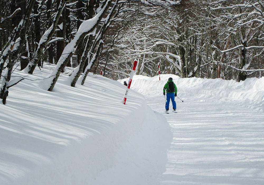Minowa Snow Resort Japan