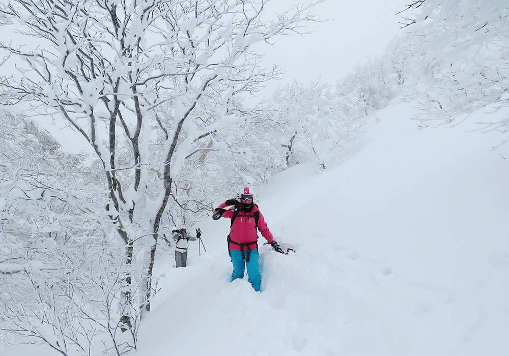 Minowa Snow Resort Japan