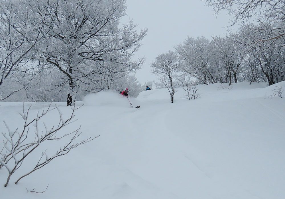 Minowa Snow Resort Japan