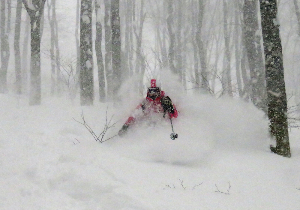 Myoko Ski Resort | Myoko Skiing, Snowboarding Ratings