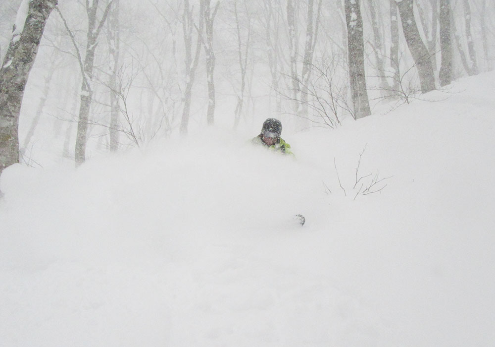 Myoko Ski Resort | Myoko Skiing, Snowboarding Ratings