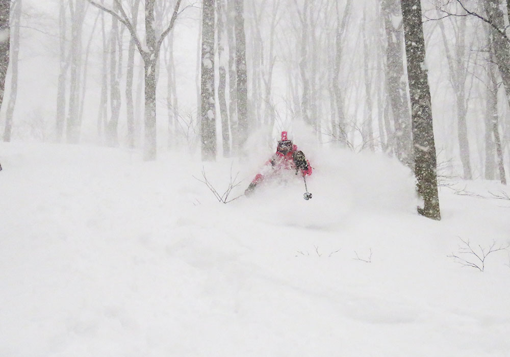 Myoko Ski Resort | Myoko Skiing, Snowboarding Ratings