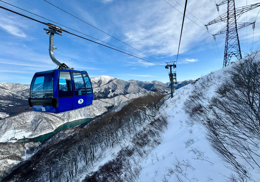 Naeba Skiing | Naeba Snow, Terrain