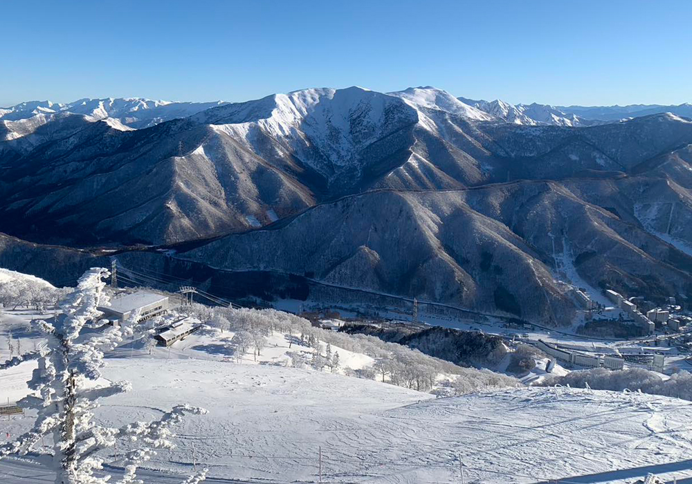 Naeba Skiing | Naeba Snow, Terrain