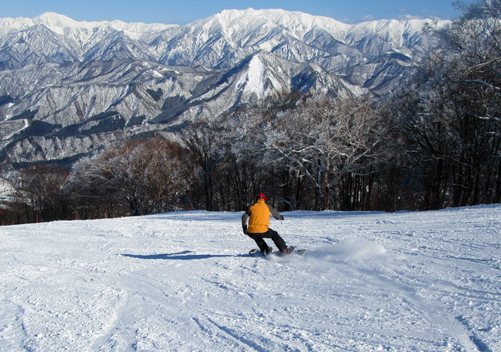 Niigata Ski Resorts | Niigata Snow, Skiing