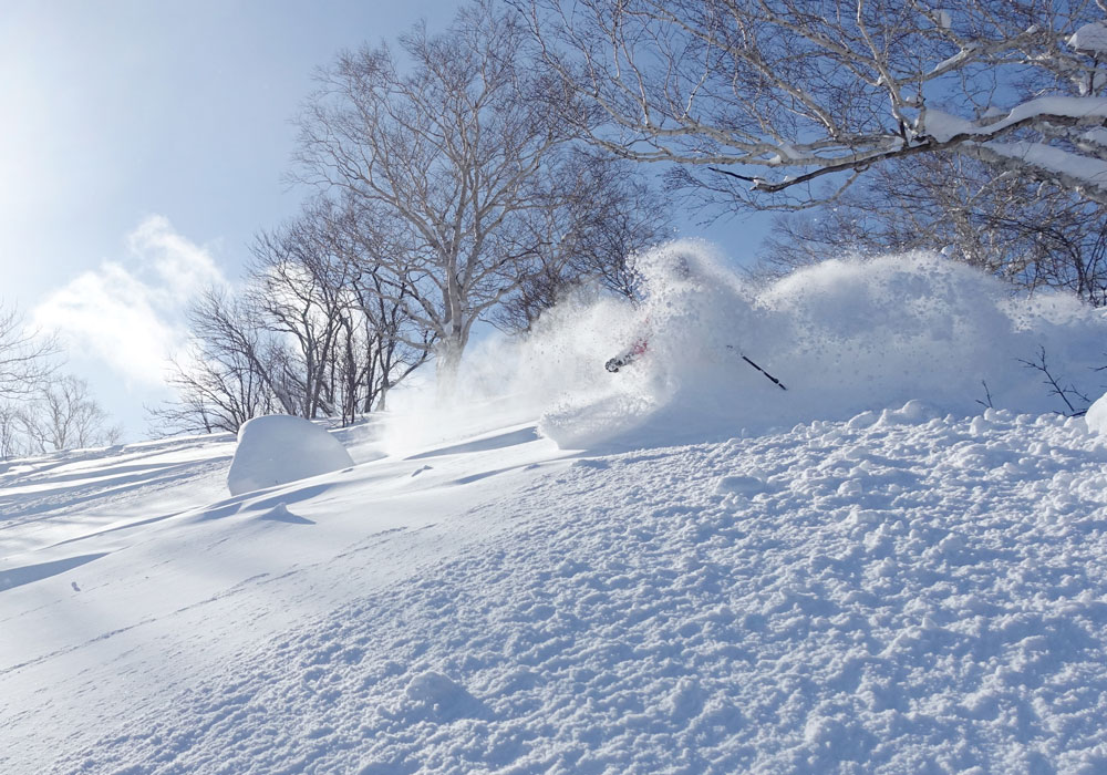 Niseko Gates System | Niseko Sidecountry