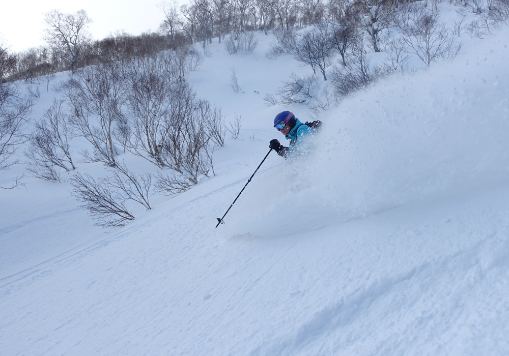 Niseko Gates System | Niseko Sidecountry