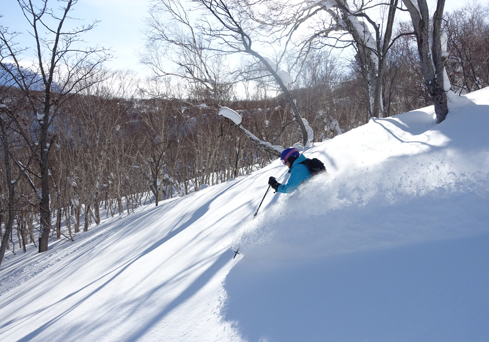 Niseko Gates System | Niseko Sidecountry