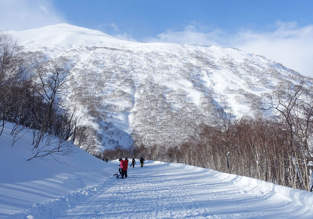 Niseko Gates System | Niseko Sidecountry