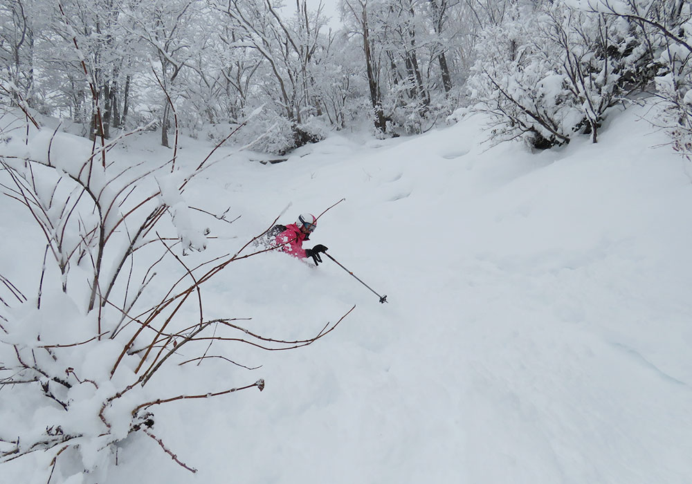 Ski Seki Japan | Sekionsen Ski Resort