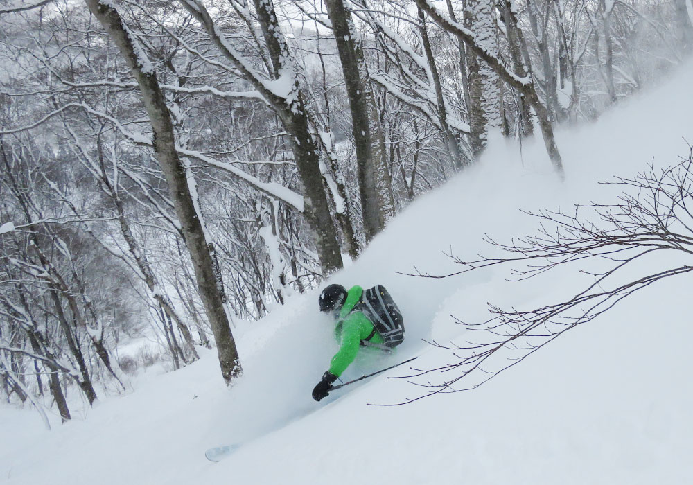 Tangram Ski Resort Terrain, Snow, Ratings