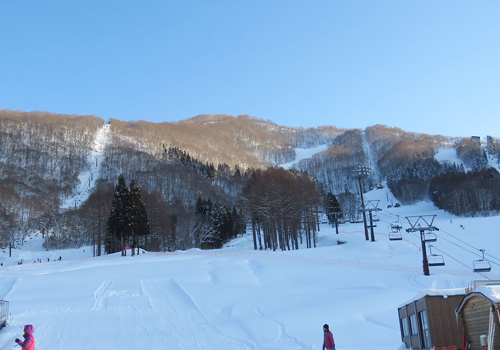 Tangram Ski Resort Terrain, Snow, Ratings