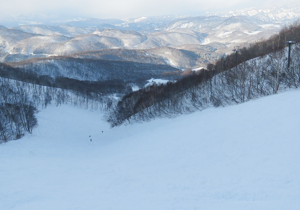 Tangram Ski Resort Terrain, Snow, Ratings