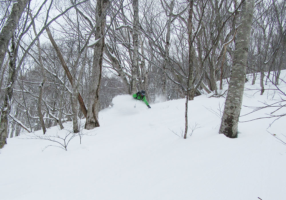 Tangram Ski Resort Terrain, Snow, Ratings