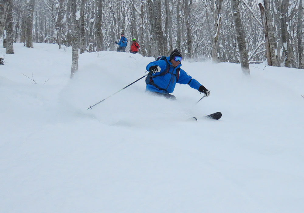 Tangram Ski Resort Terrain, Snow, Ratings