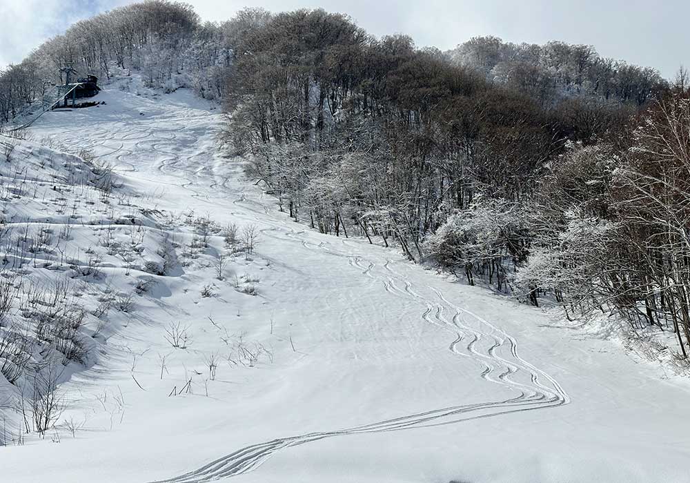 Tayama Ski Area Hachimantai Iwate