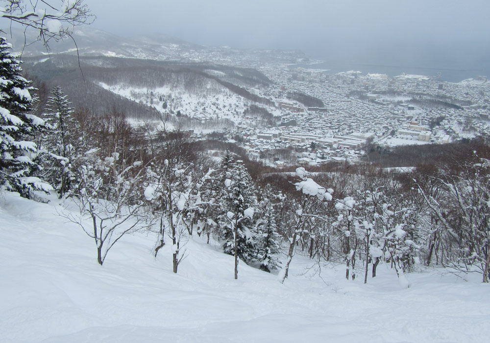 Otaru Tenguyama Ropeway | Ski Terrain Ratings, Snow