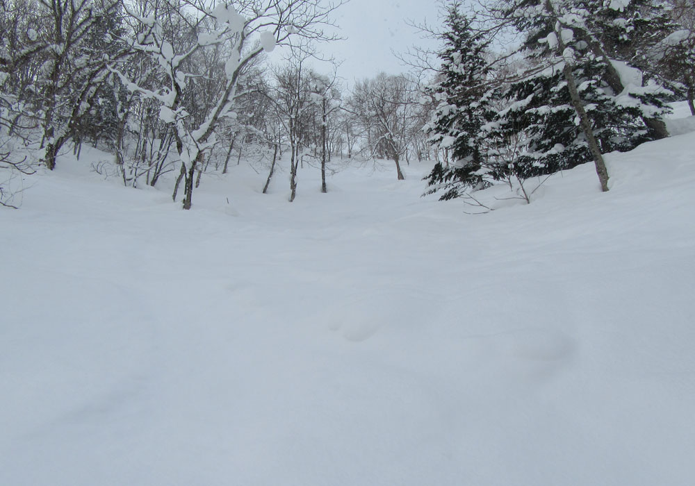 Otaru Tenguyama Ropeway | Ski Terrain Ratings, Snow