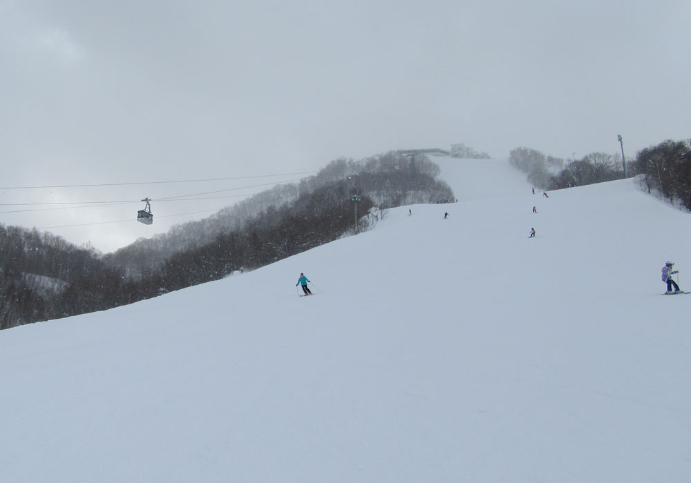 Otaru Tenguyama Ropeway | Ski Terrain Ratings, Snow