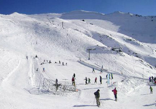 Mt Cheeseman Ski Field Reviews New Zealand