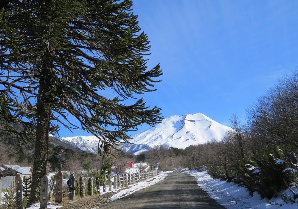 Getting to Corralco | Driving to Lonquimay Volcano