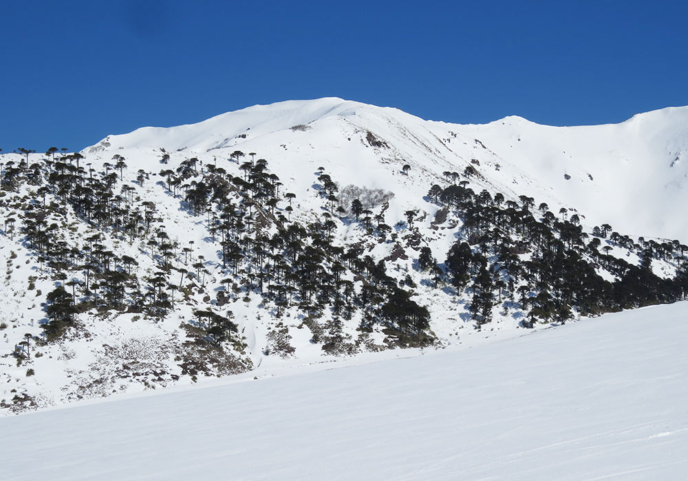 Corralco Ski Resort Terrain