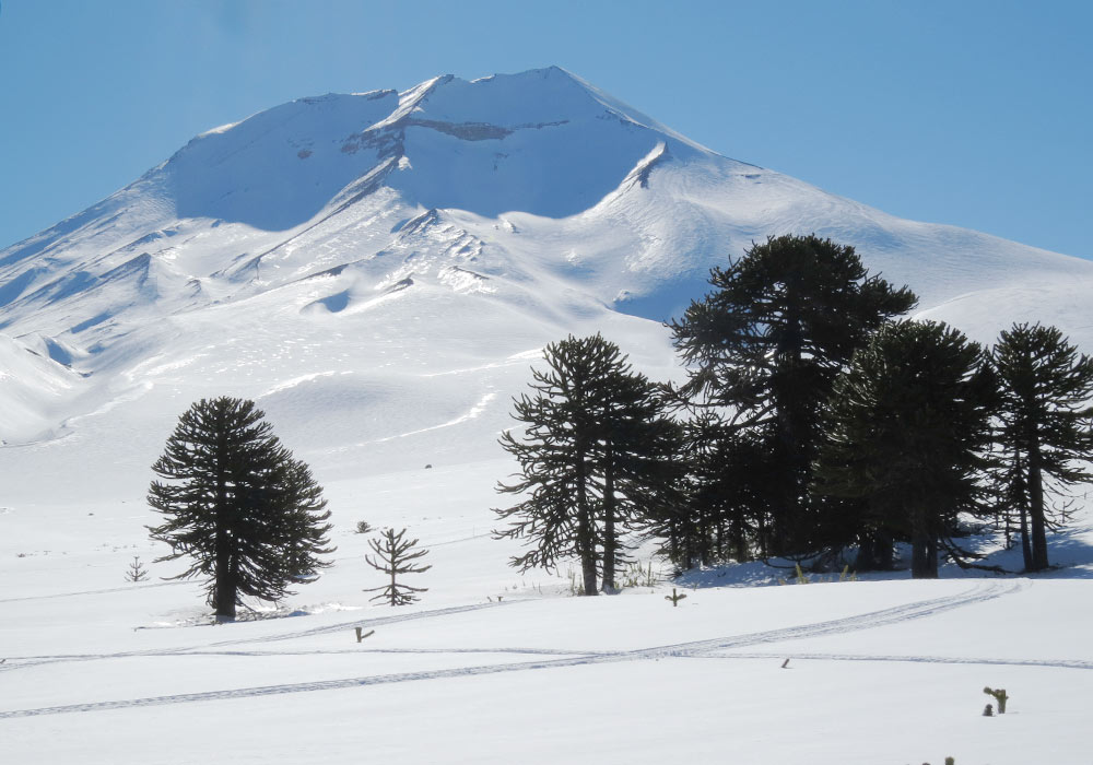 Corralco Chile | Ski Corralco on Lonquimay Volcano