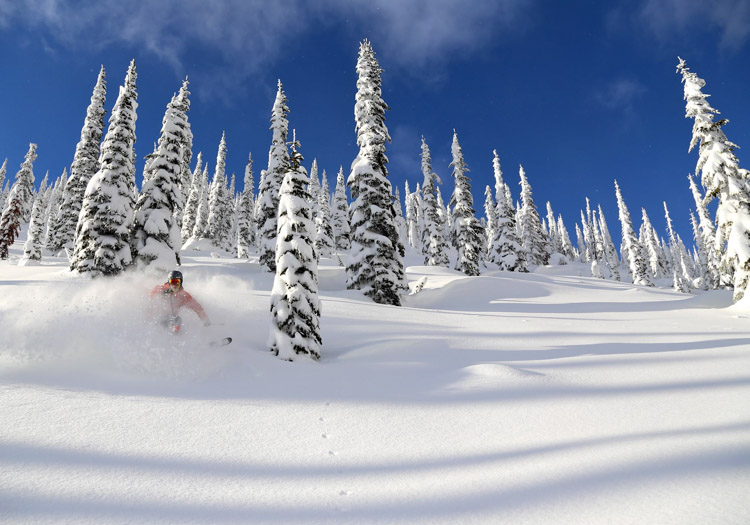 Fernie Alpine Resort | Ski Fernie BC | Fernie Ski Resort