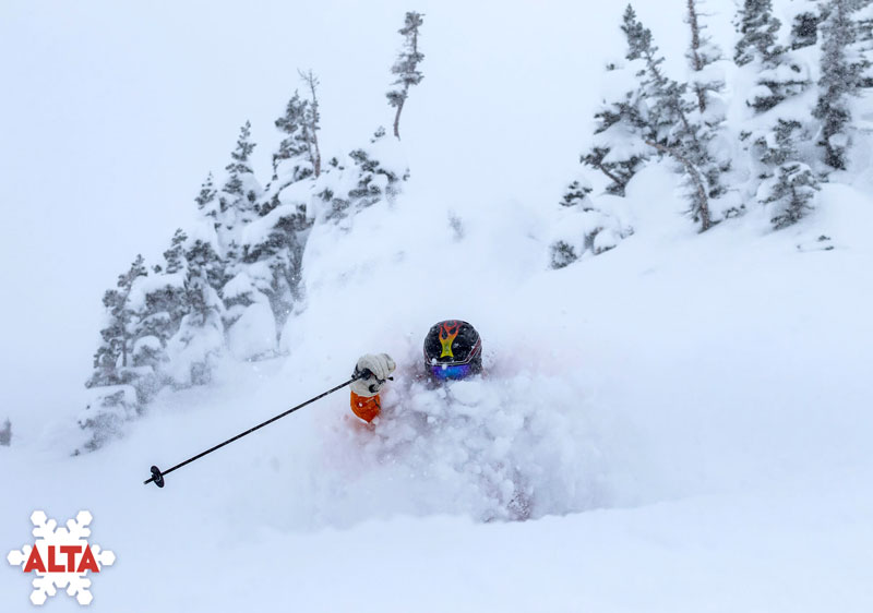 Alta Ski Resort Reviews | Alta Utah