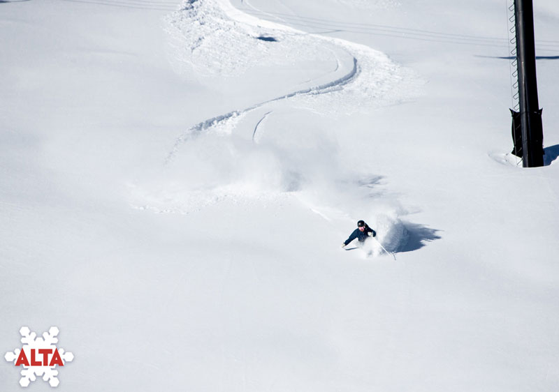 Alta Ski Resort Reviews | Alta Utah