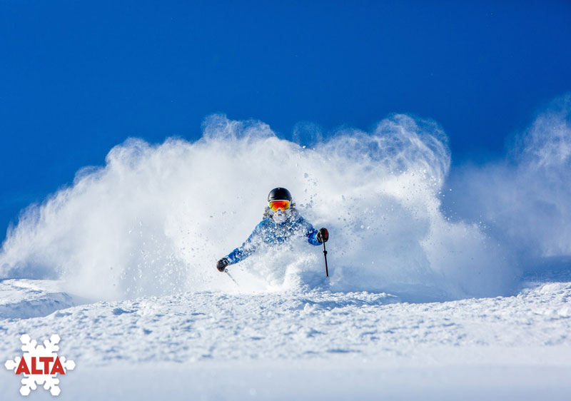 Alta Ski Area Ratings | Ski Alta UT