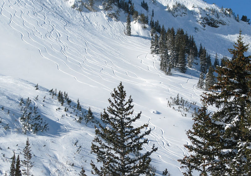 Alta Ski Area Ratings | Ski Alta UT