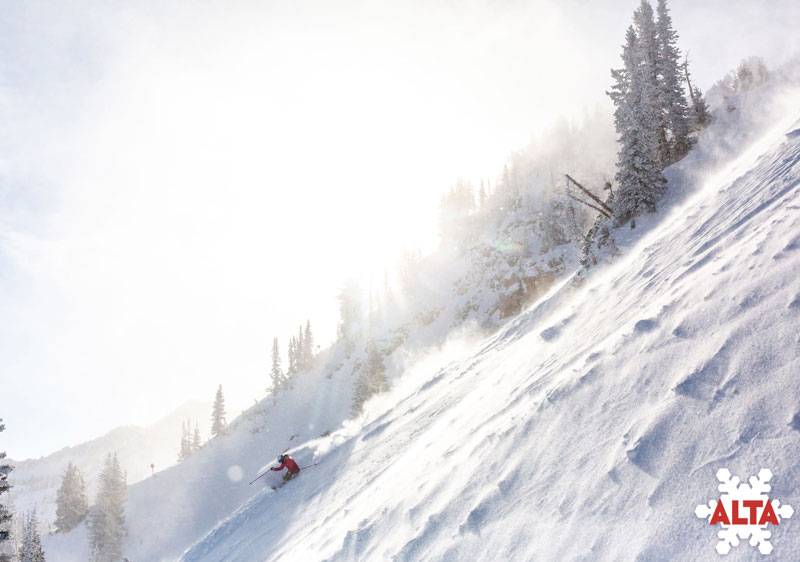 Alta Ski Area Ratings | Ski Alta UT