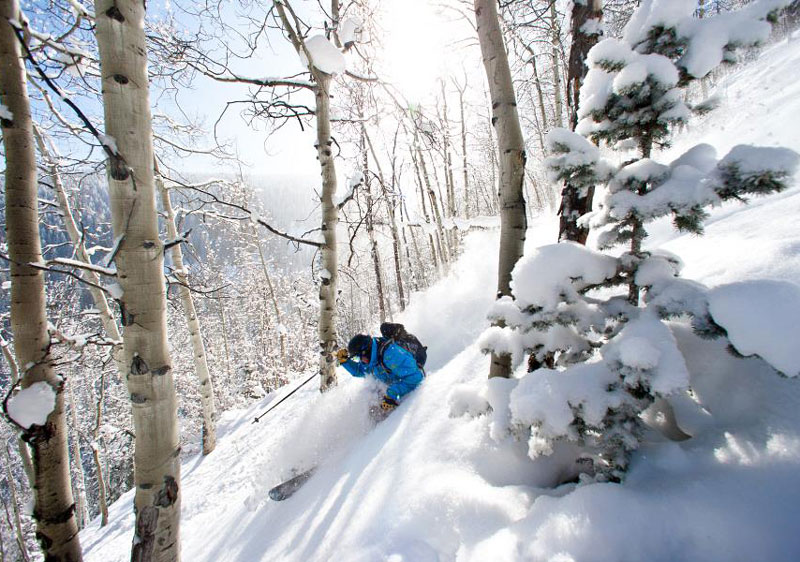 Beaver Creek Ski Resort | Beaver Creek Colorado Reviews
