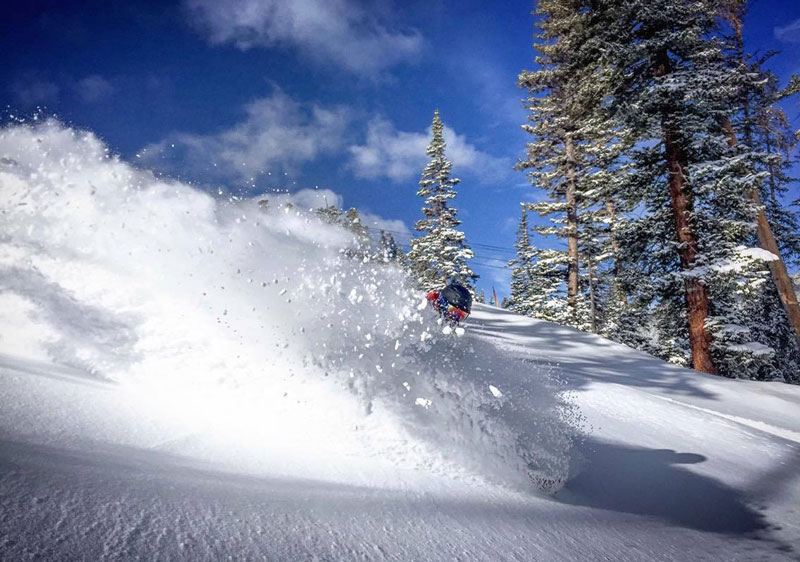 Beaver Creek Ski Resort | Beaver Creek Colorado Reviews
