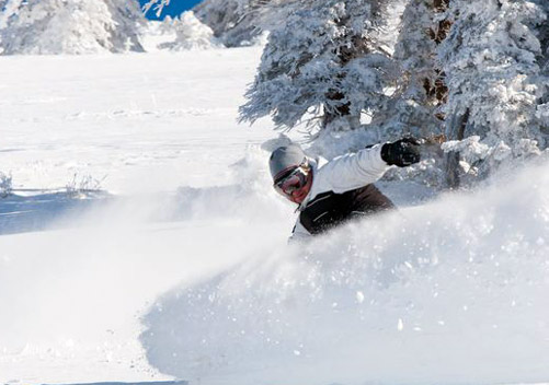 Best Cat Skiing USA | Top Snowcat Skiing Colorado