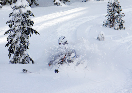 Cat Skiing Colorado | USA Snowcat Skiing Reviews