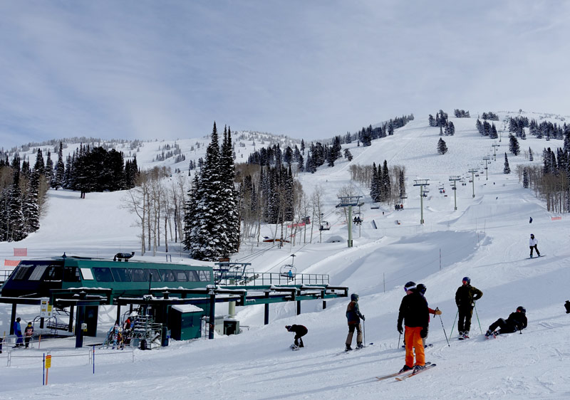 Grand Targhee Resort Ski Ratings | Snowboard, Snow, Terrain