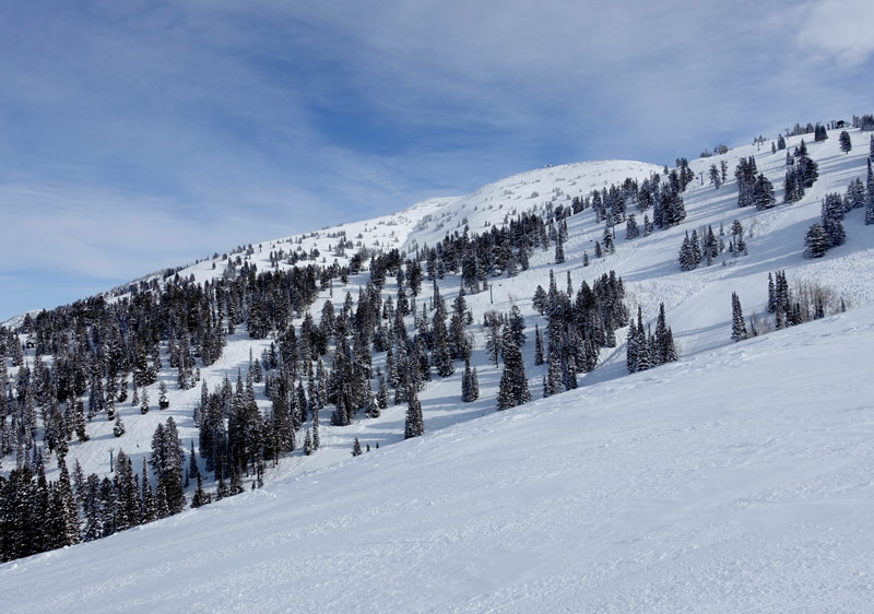 Grand Targhee Resort Ski Ratings | Snowboard, Snow, Terrain