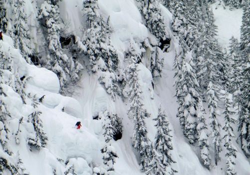 Mt Baker Ski Area | Mount Baker Washington Review