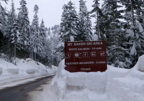 Mt Baker Ski Area | Mount Baker Washington Review
