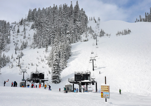 Mount Baker Ski Area Ratings | Mt Baker Ski Resort