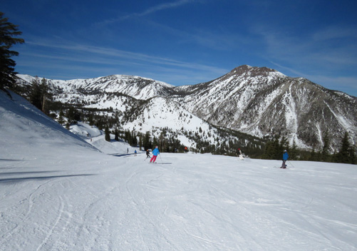 Mt Rose Ski Tahoe | Ski Mt Rose Ratings