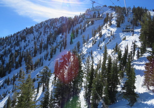 Mt Rose Ski Tahoe | Ski Mt Rose Ratings