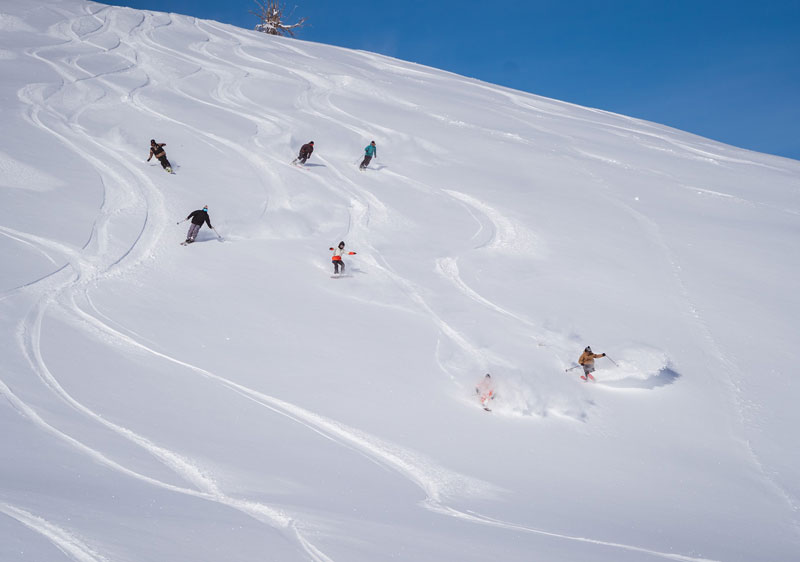 Ski Pow Mow | Powder Mountain Ski Area Ratings