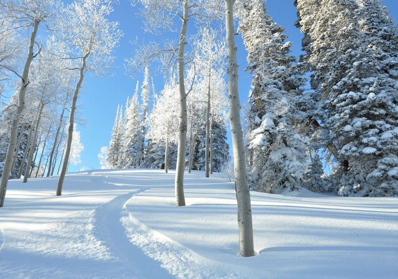 Powder Mountain Utah | Powder Mountain Ski Resort