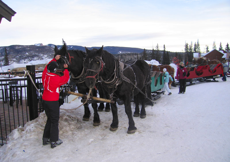 Durango Activities | Mesa Verde | Purgatory Cat Skiing