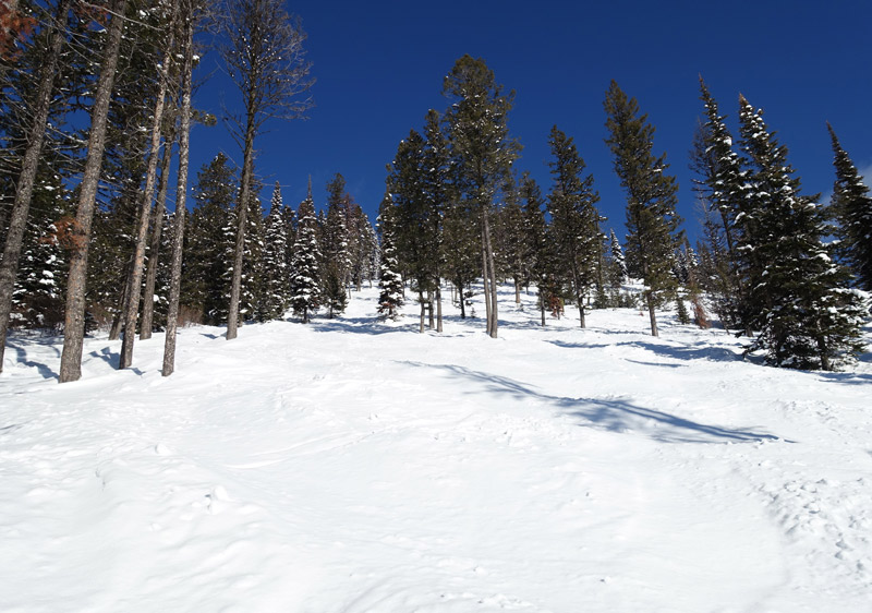 Snowbowl Montana Skiing, Snow Ratings