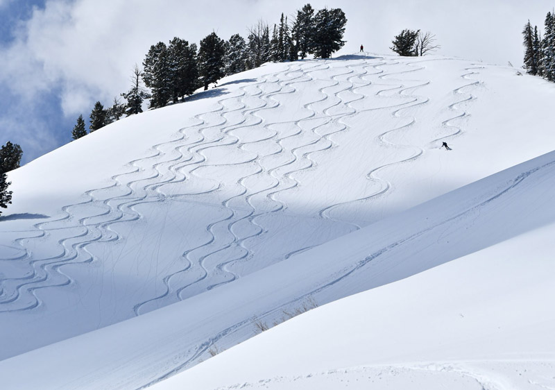Snowbasin Resort | Snowbasin Ski Area Terrain Ratings